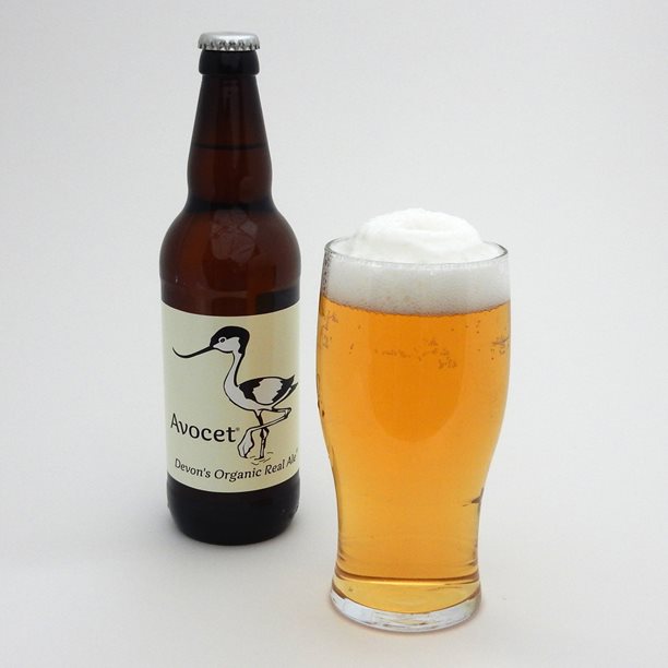 Avocet - The Cheese Shed