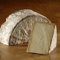 Devon Oke - The Cheese Shed